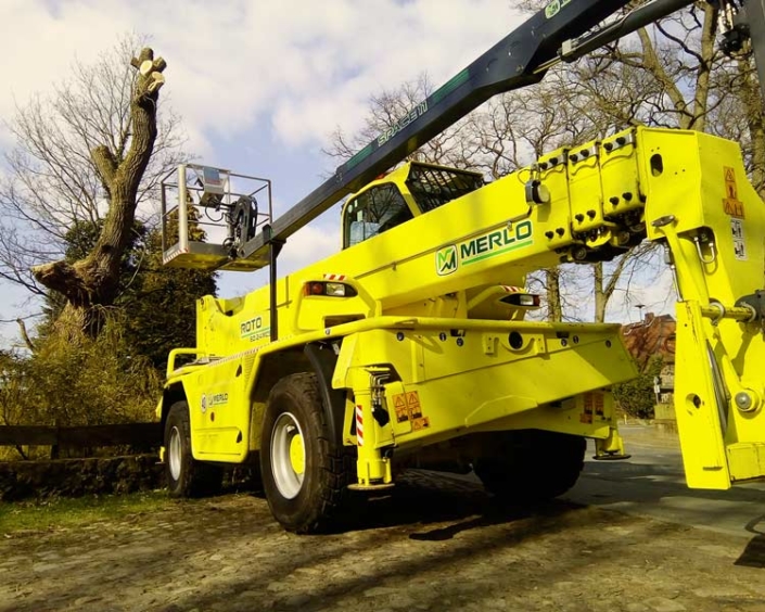 TeleskopStapler / Mobilkran / Telestapler-Arbeitsbühne / TeleskopLader ...